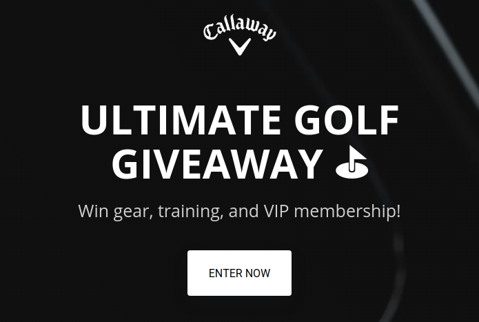7 Giveaway and Sweepstakes Examples Hosted by Massive Brands That ...